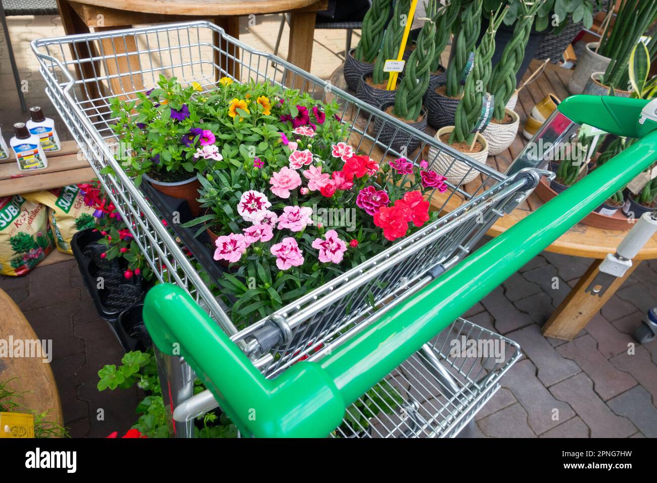 Flowers on cart hi-res stock photography and images - Alamy