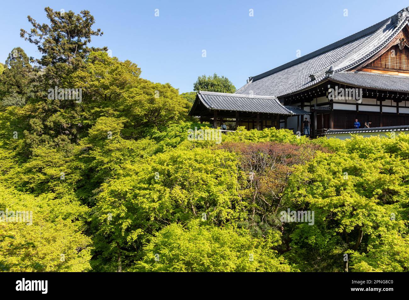 Kyoto Japan April 2023, Great zen temple Tofuku-ji temple a buddhist ...
