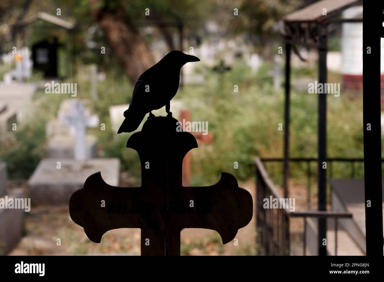 Silhouette of a crow perched on a cross at the Indian Christian ...