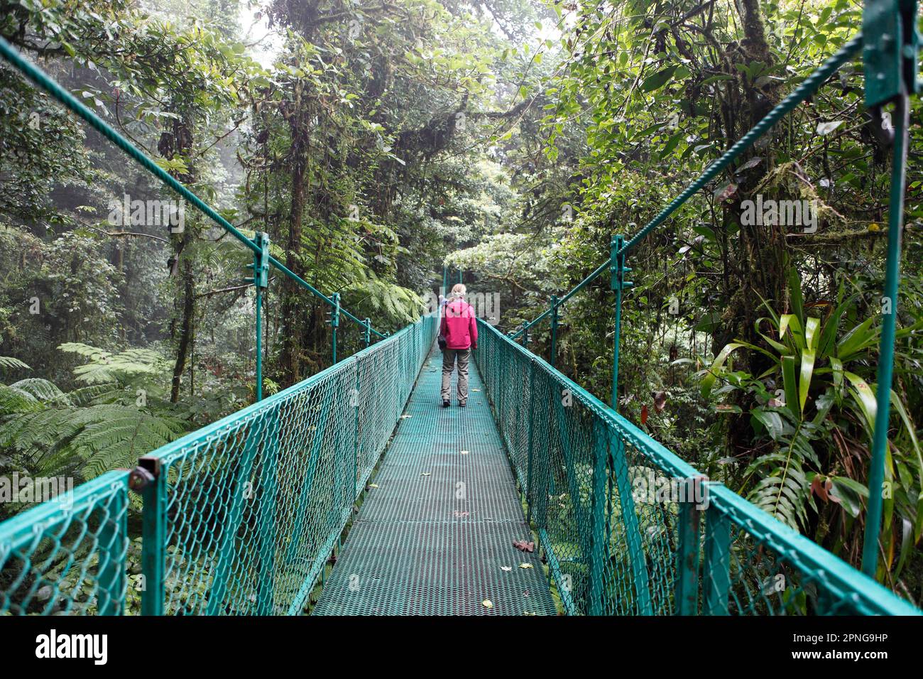 Monte verde costa rica hi-res stock photography and images - Alamy