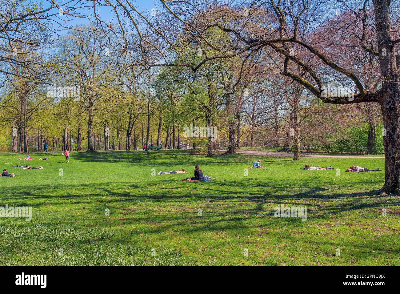 People sunbathing in the springtime Luitpoldpark, Munich, Bavaria ...
