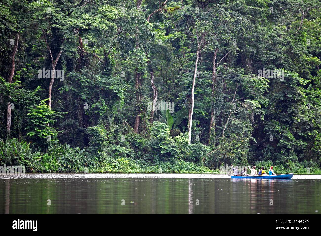 Canoe in front of the rainforest, Tortuguero National Park, Limon ...