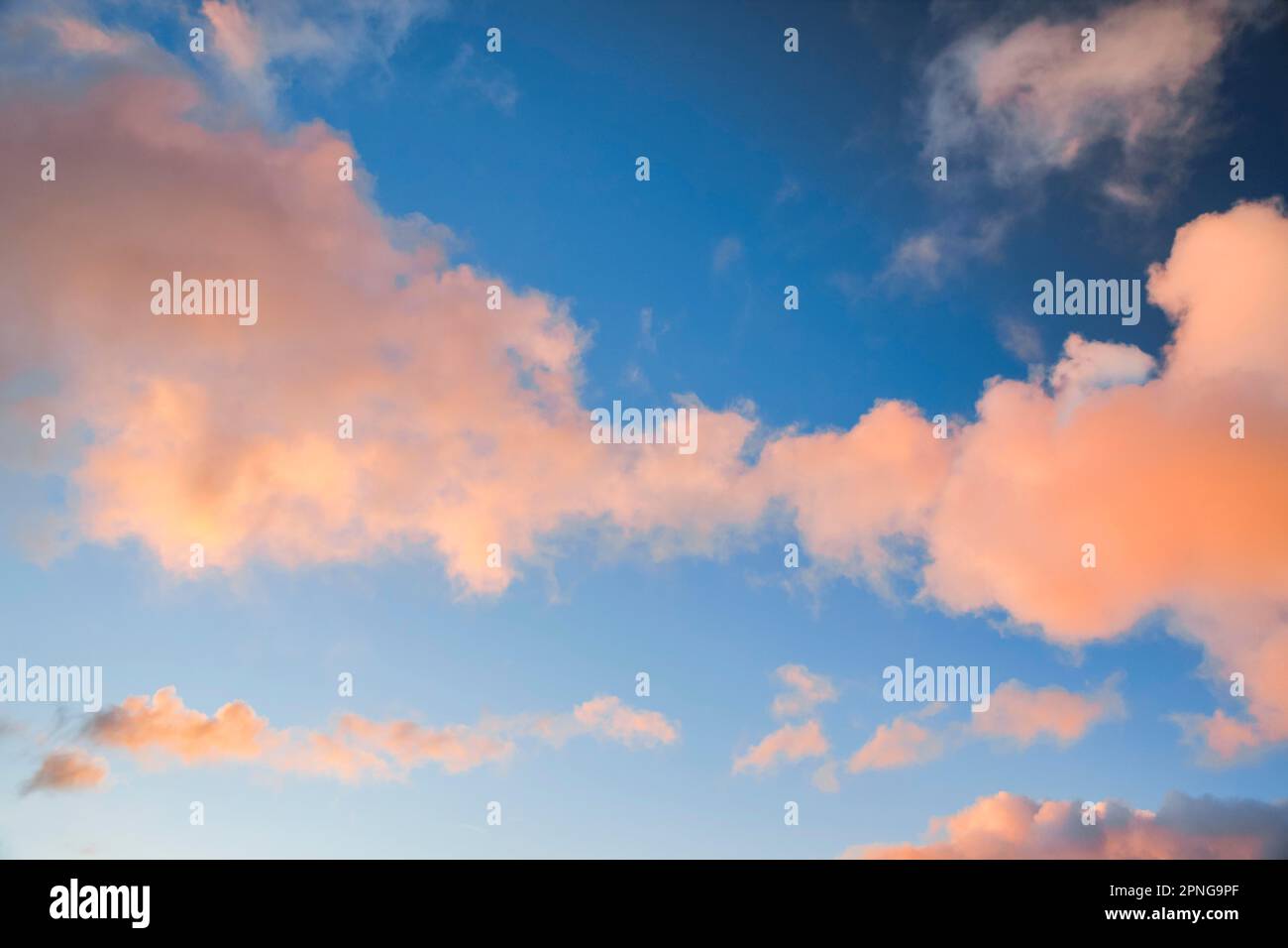 Orange spring clouds adorn the blue morning sky at sunrise Stock Photo ...