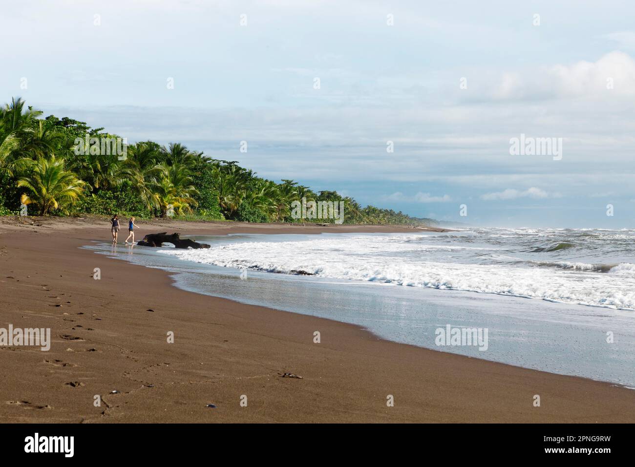 Secluded sandy beach on the Caribbean coast, Tortuguero National Park ...