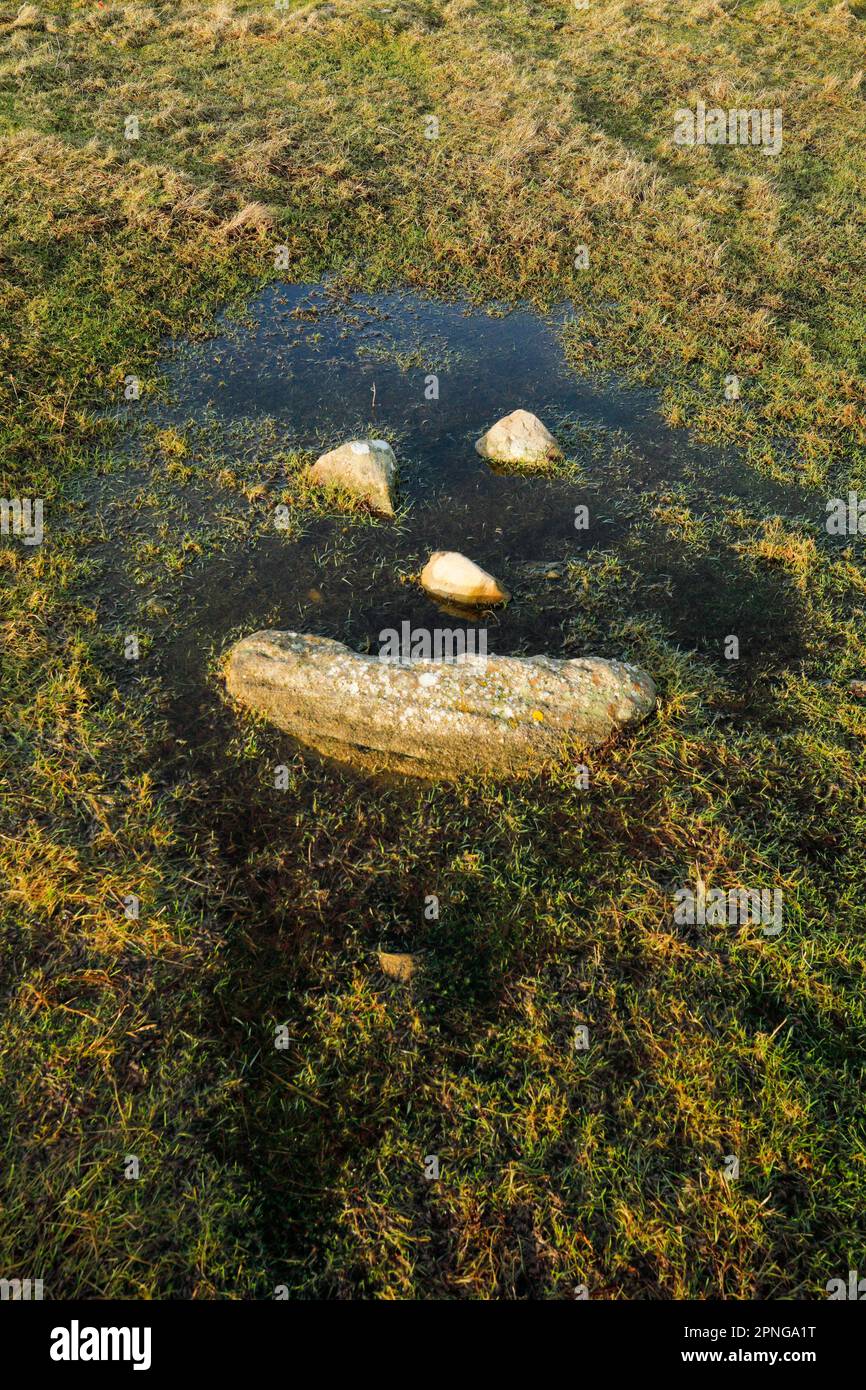 Natural smiley made of stones in the middle of a puddle of water in a ...