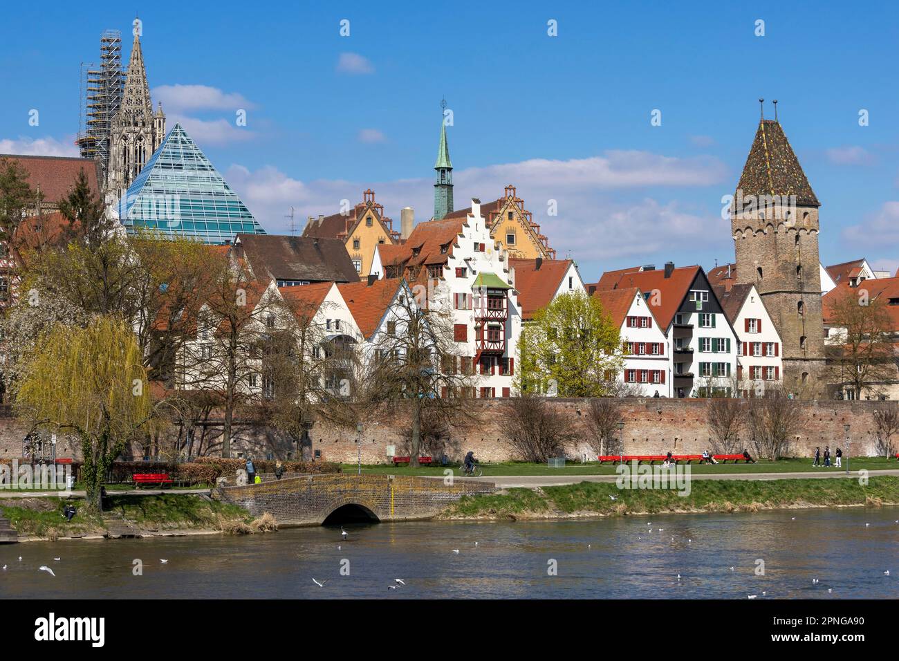 Danube and Danube promenade with Ulm city wall and Ulm Cathedral behind ...