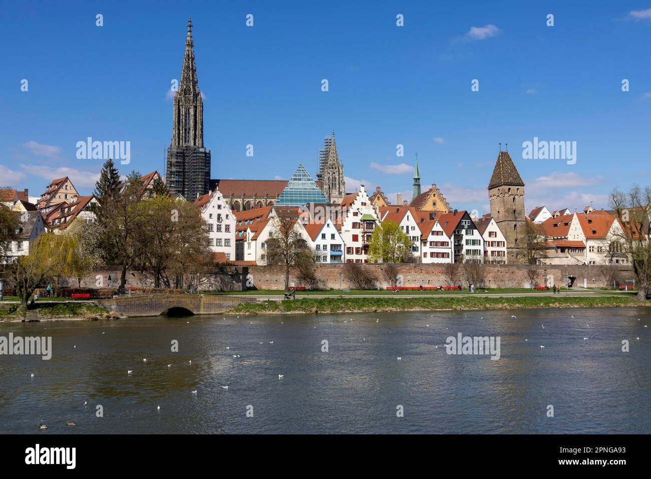 Danube and Danube promenade with Ulm city wall and Ulm Cathedral behind ...