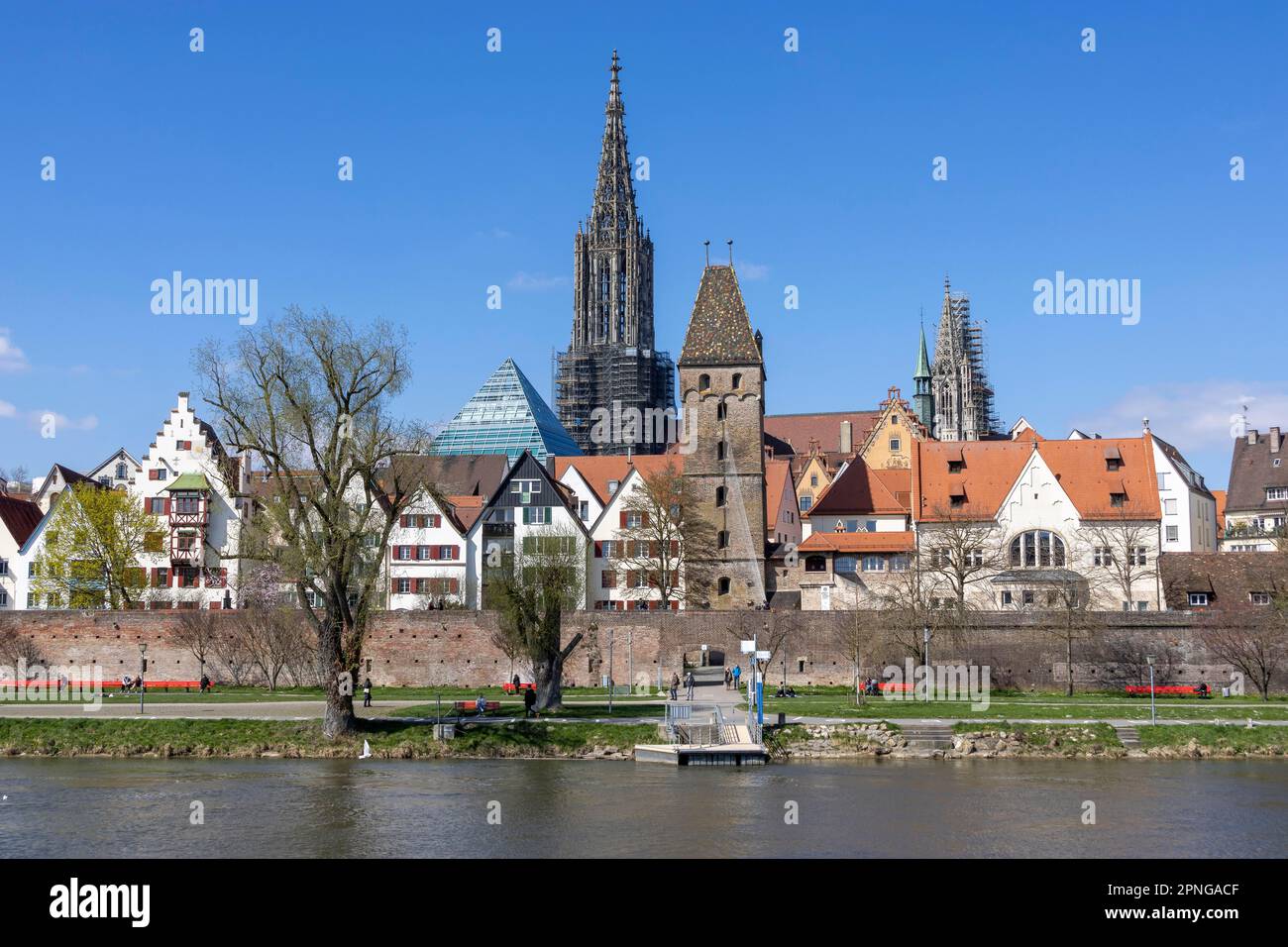 Danube and Danube promenade with Ulm city wall and Ulm Cathedral behind ...