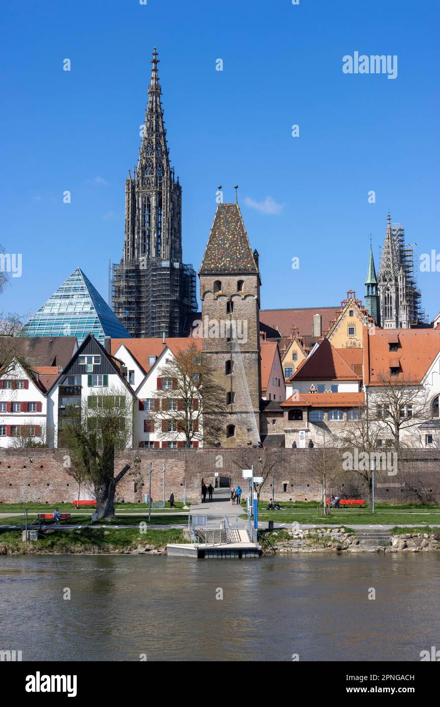 Danube and Danube promenade with Ulm city wall and Ulm Cathedral behind ...