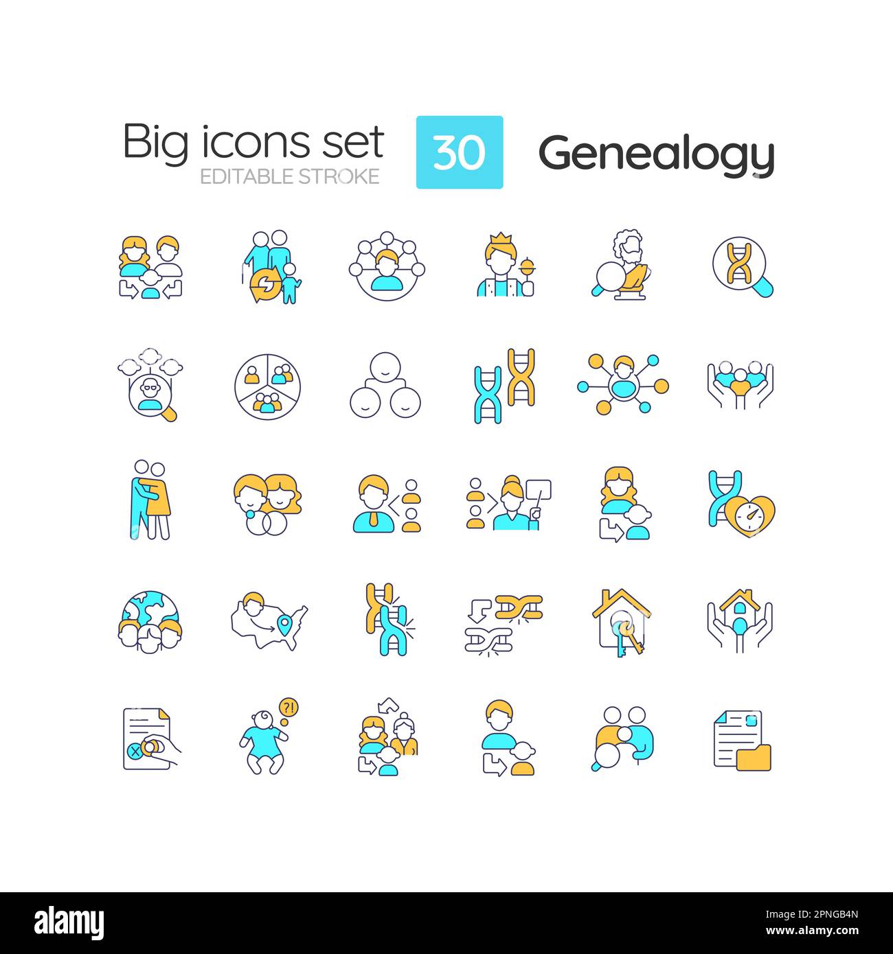 Family tree lineage Cut Out Stock Images & Pictures - Alamy