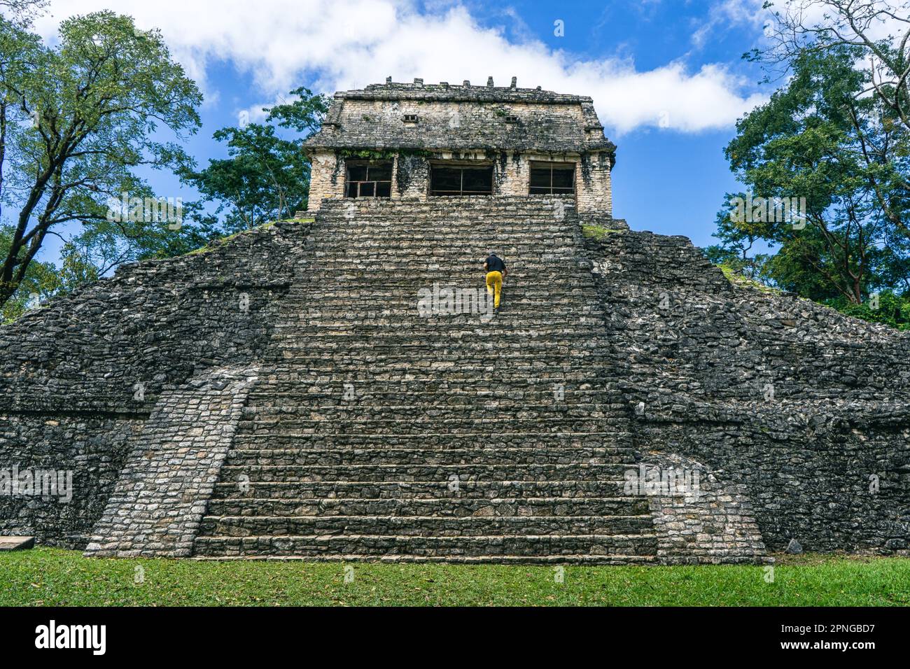 Palenque national park hi-res stock photography and images - Alamy