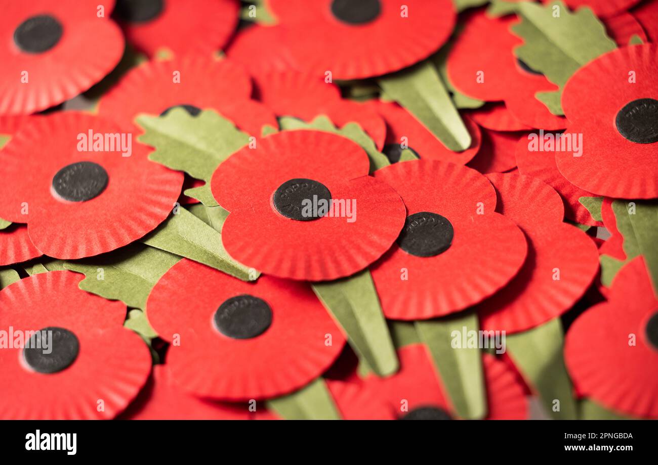 Undated handout photo issued by Royal British Legion of its new 100% ...