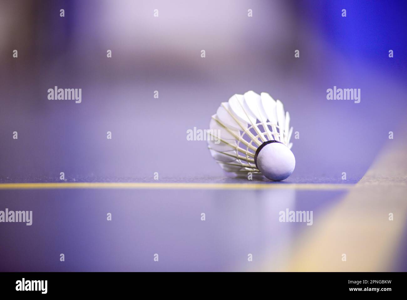 badminton court indoor shuttlecock Stock Photo - Alamy