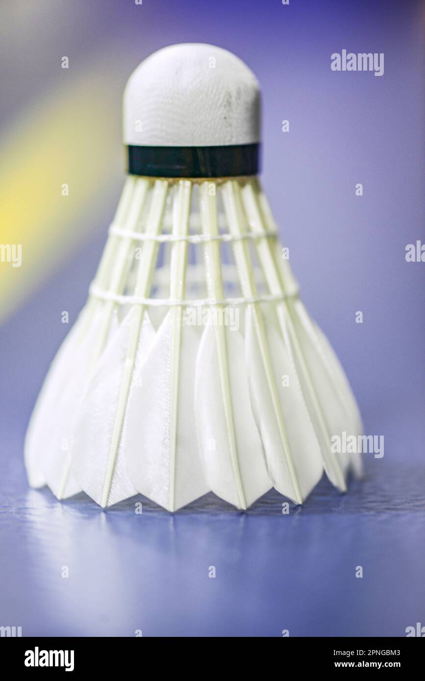 badminton court indoor shuttlecock Stock Photo - Alamy