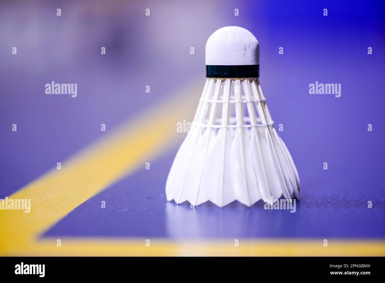 badminton court indoor shuttlecock Stock Photo - Alamy