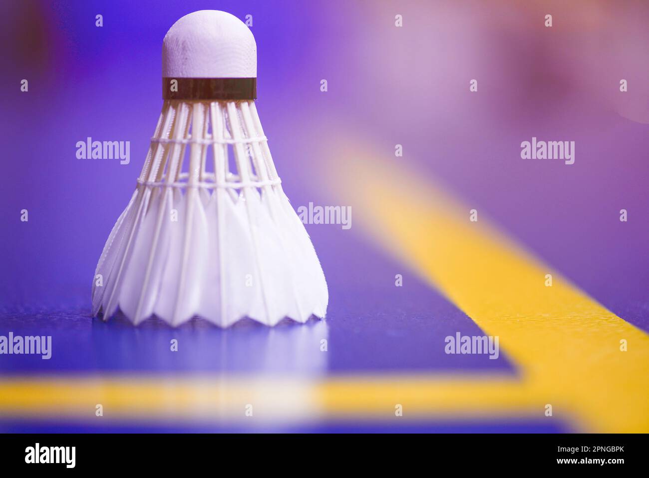 badminton court indoor shuttlecock Stock Photo - Alamy