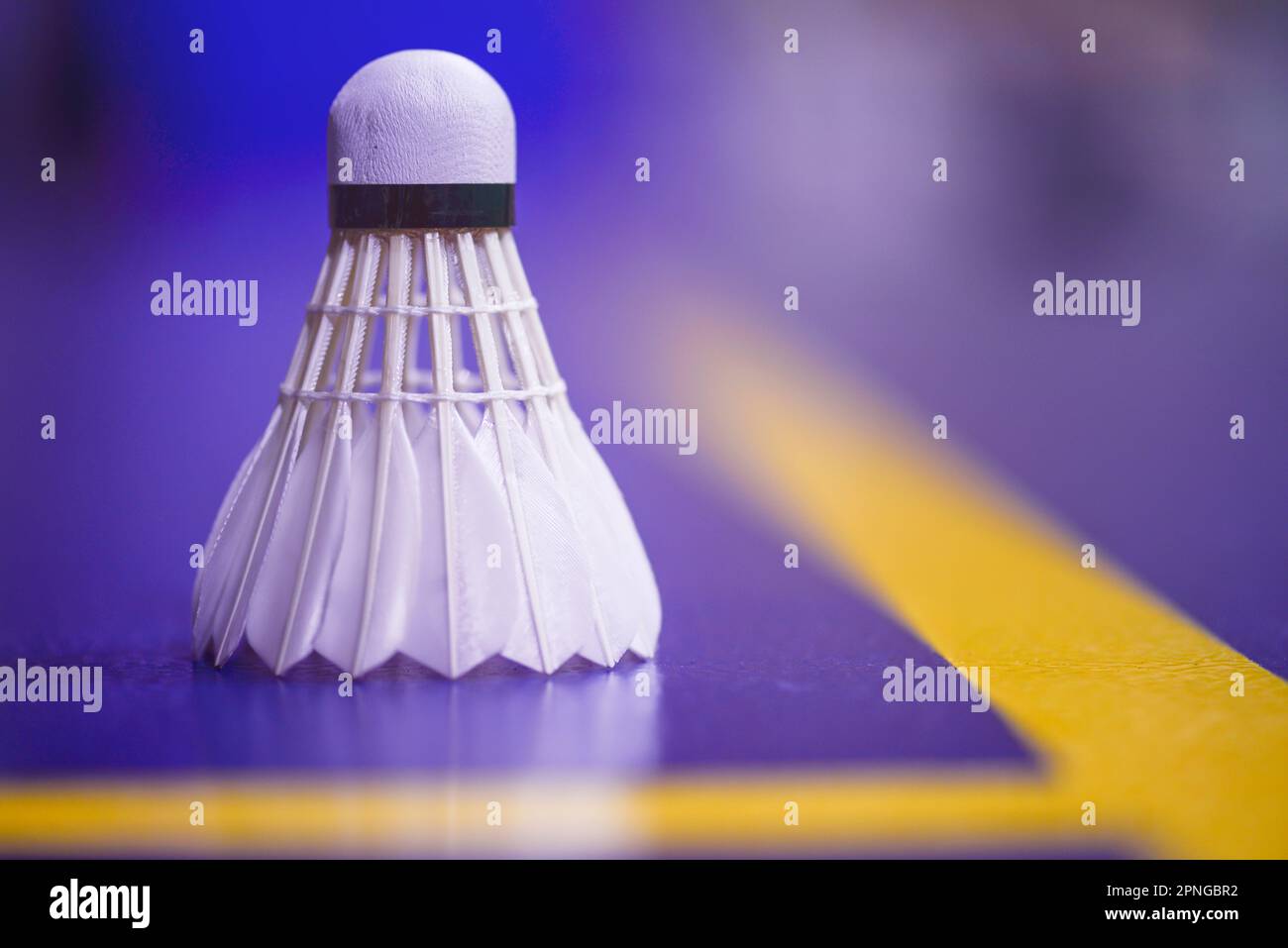 badminton court indoor shuttlecock Stock Photo - Alamy