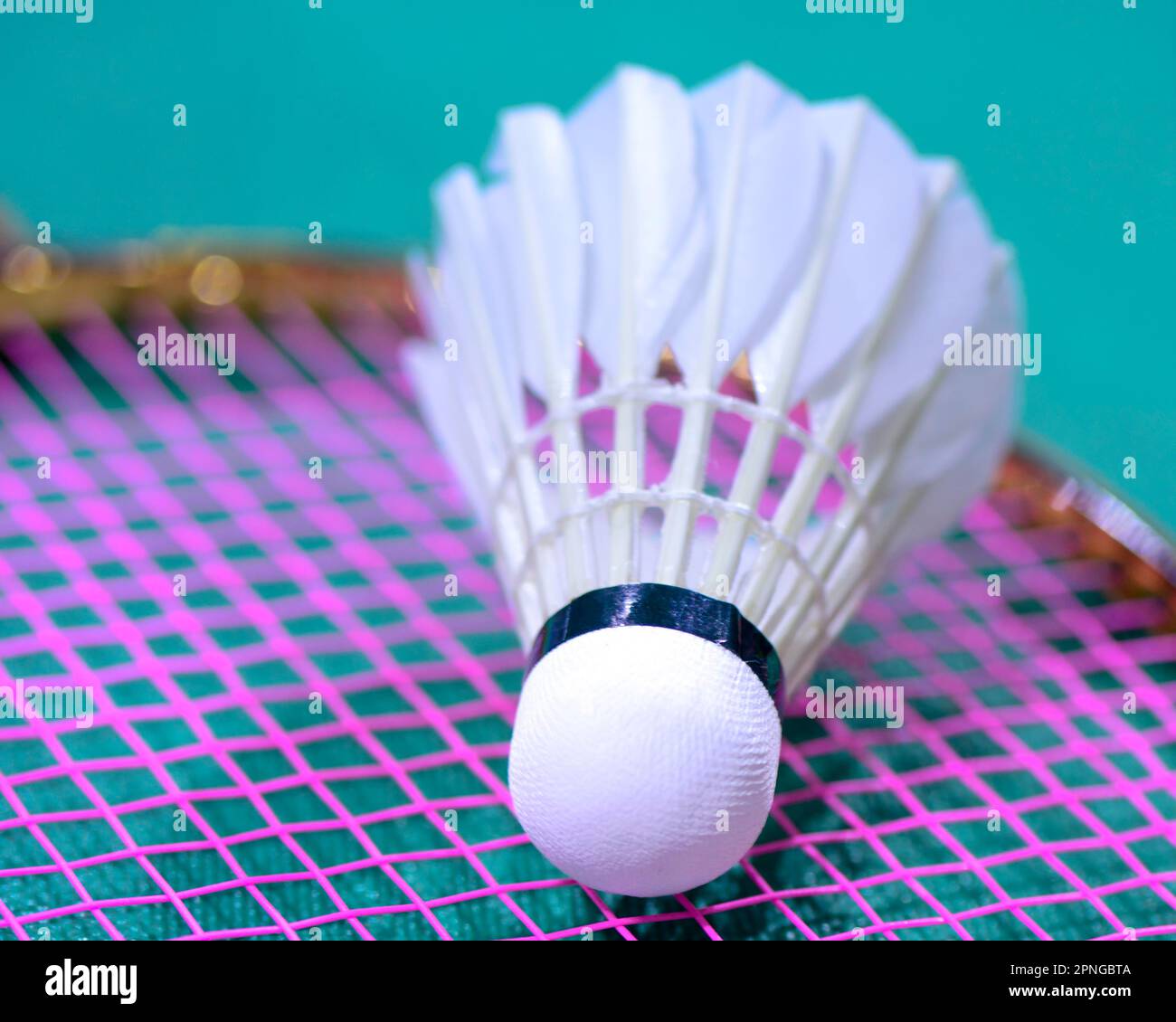 Badminton court hi-res stock photography and images - Alamy