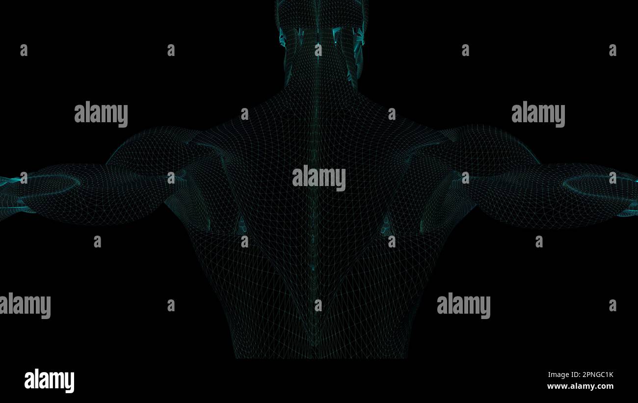 3D Illustration, Muscle is a soft tissue, Muscle cells contain proteins ...