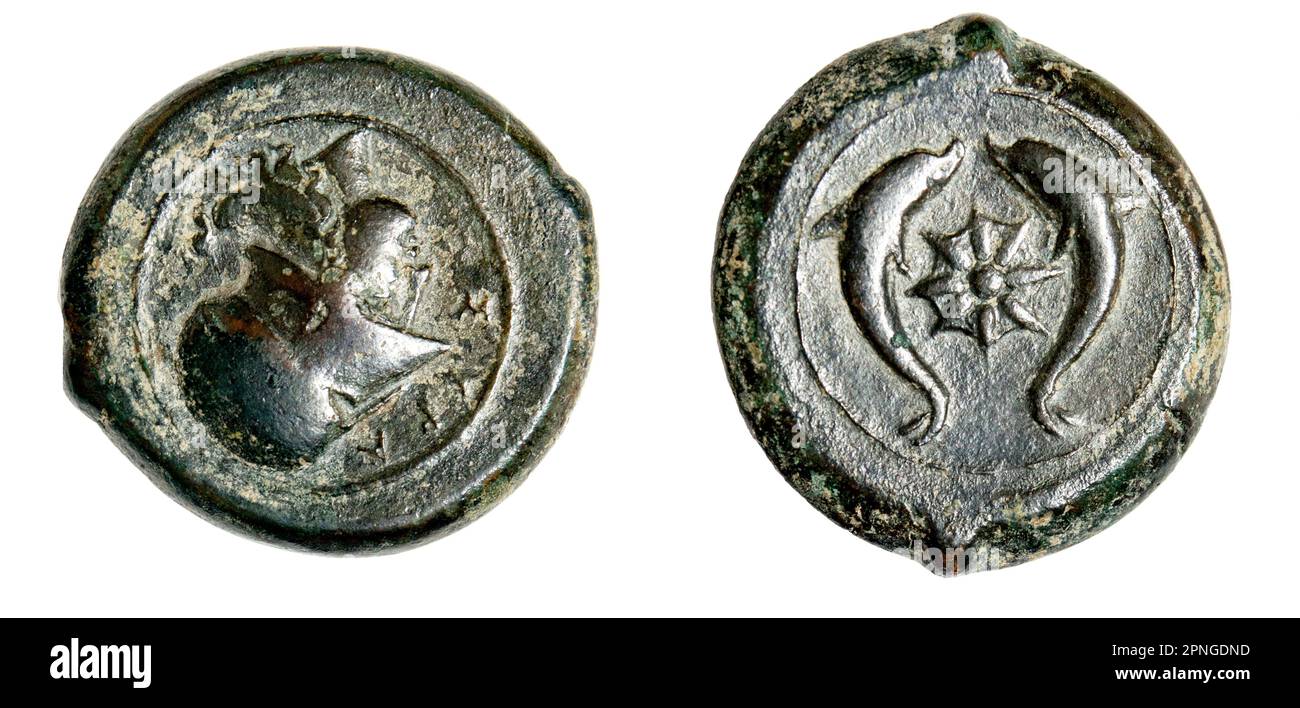 Ancient Syracuse bronze litra coin 344-336 BCE depicting the head of ...