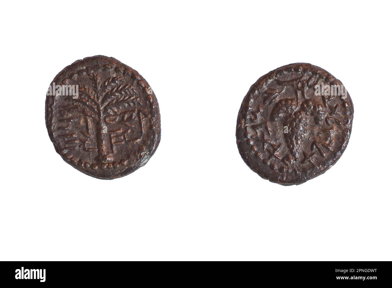 132 year old Cut Out Stock Images & Pictures - Alamy