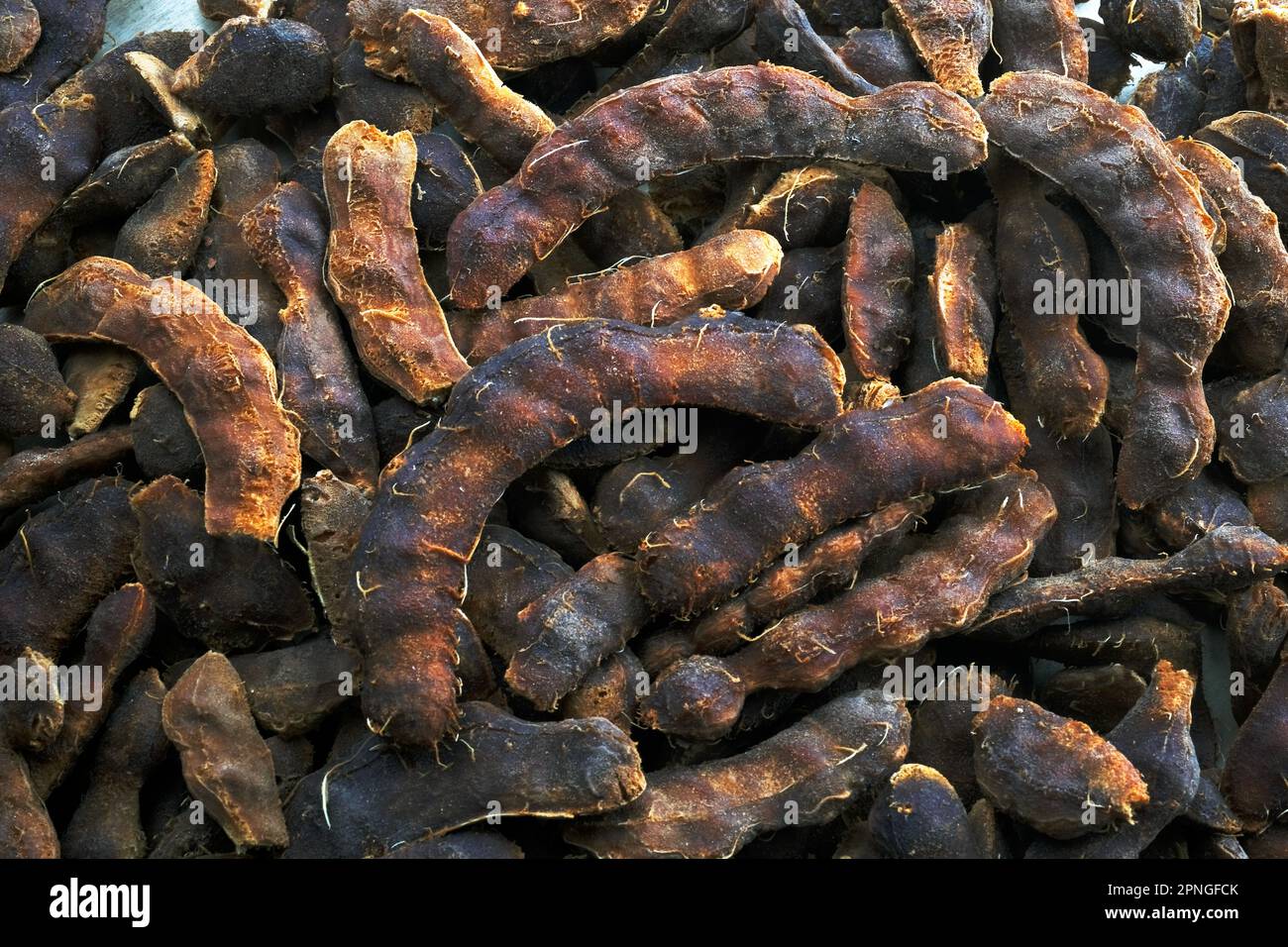 Organic tamarind peel, tamarind background, It is brown in color and ...