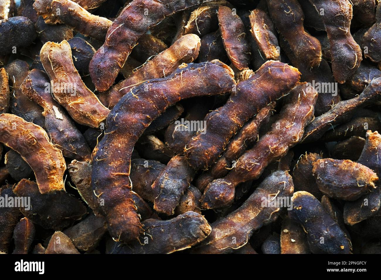 Organic tamarind peel, tamarind background, It is brown in color and ...