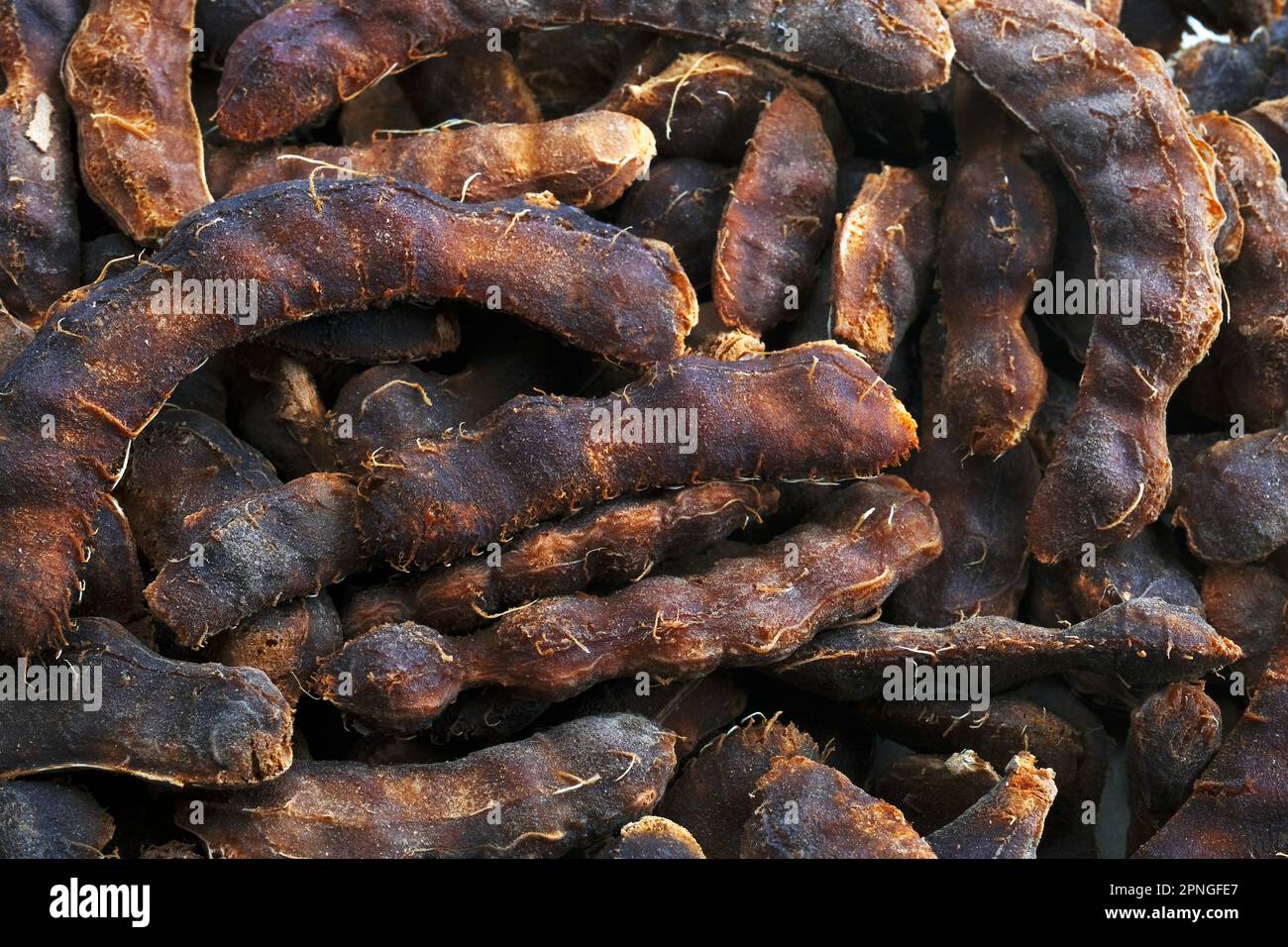 Organic tamarind peel, tamarind background, It is brown in color and ...