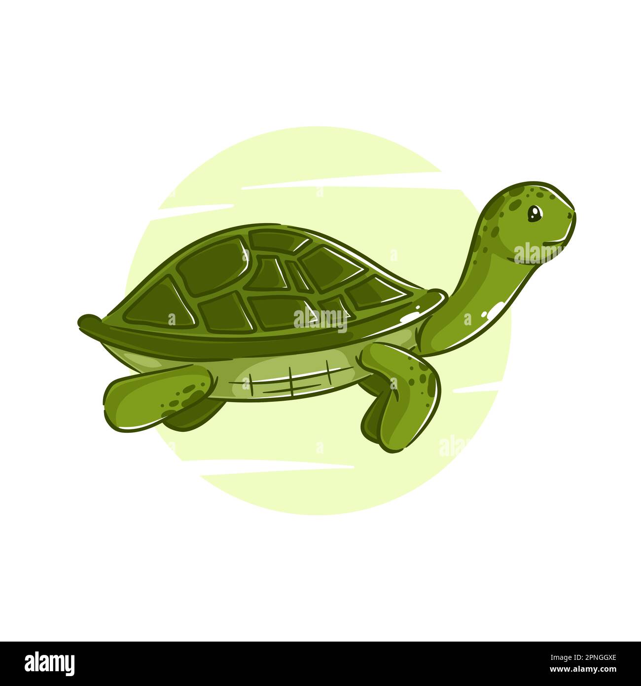 Hand drawn turtle cartoon clipart Stock Vector Image & Art - Alamy
