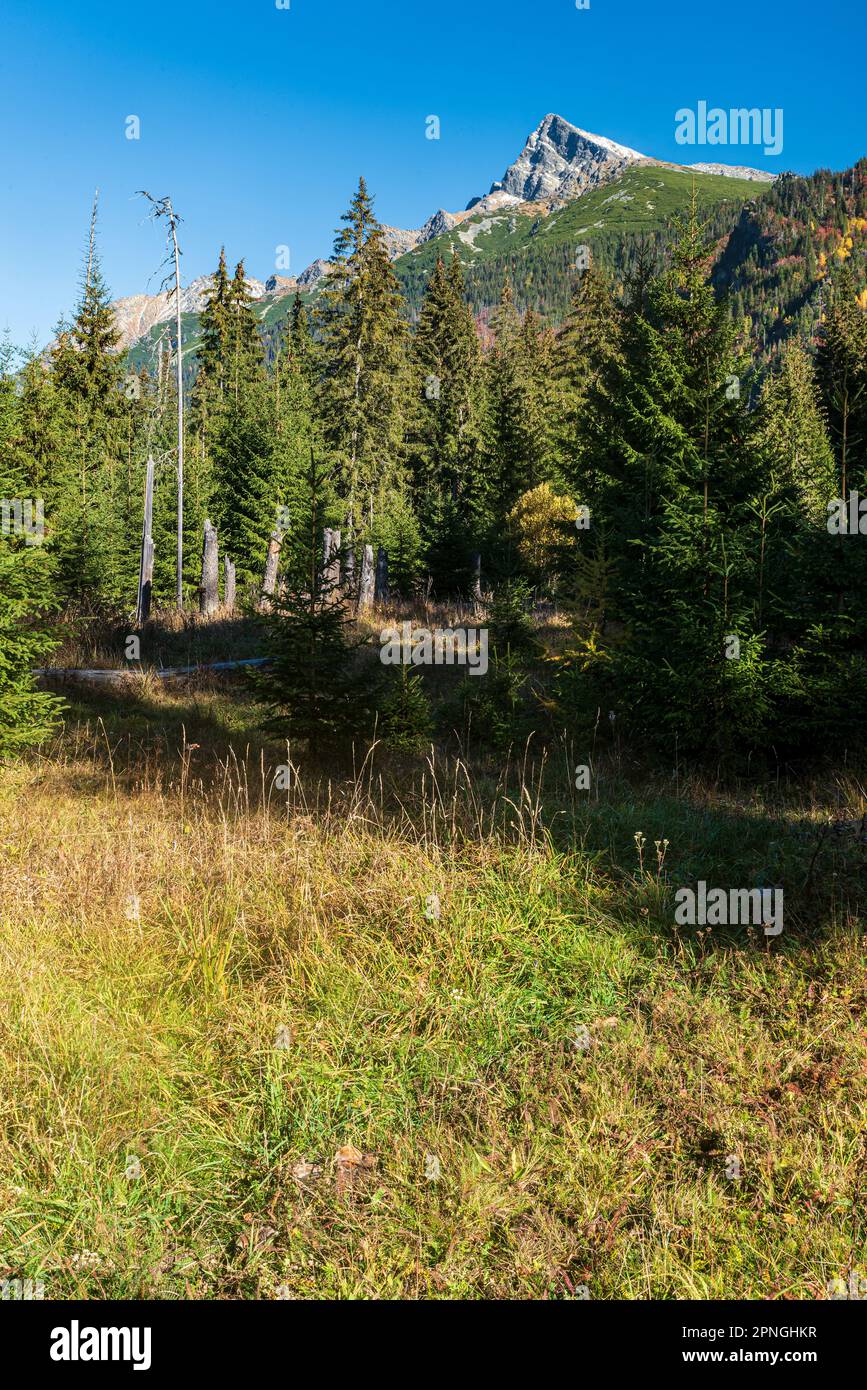 Krivan mountain peak above Koprova dolina valley in High Tatras ...
