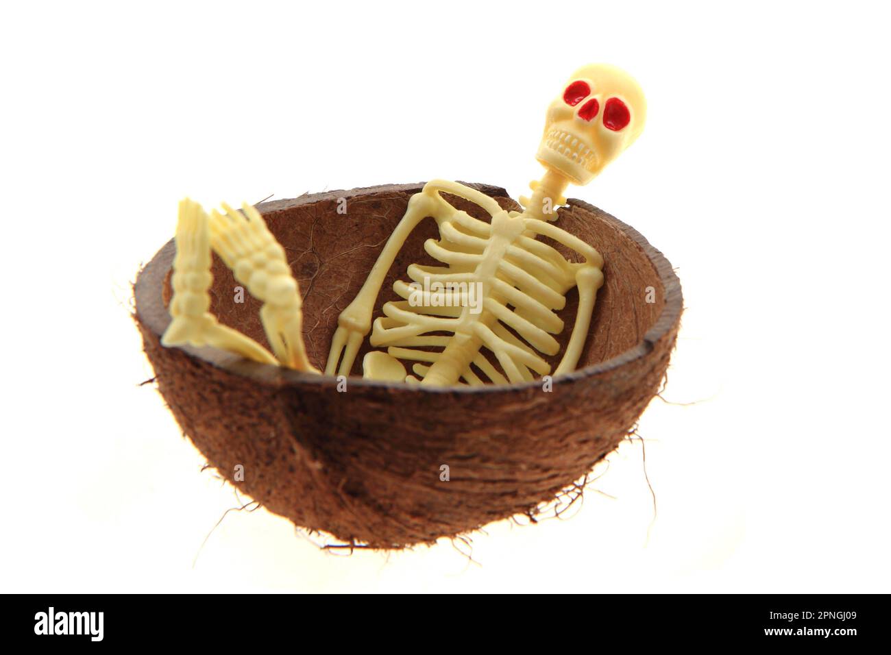 small human skeleton isolated on the white background Stock Photo - Alamy
