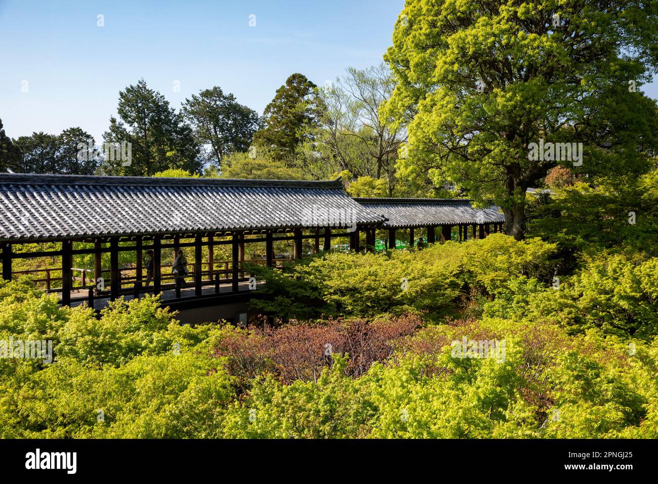 Kyoto Japan April 2023, Great zen temple Tofuku-ji temple a buddhist ...