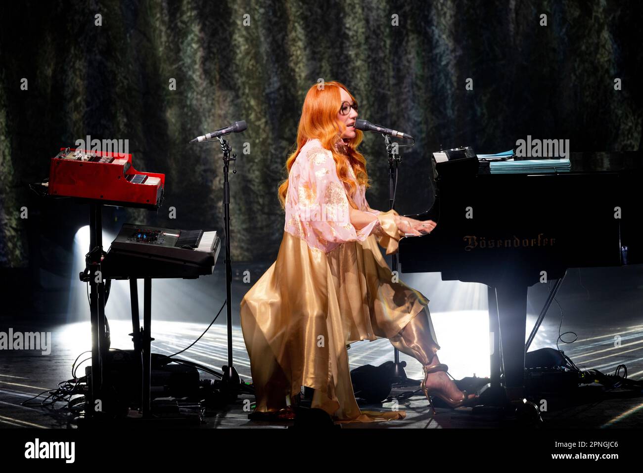 Tori amos band member hi-res stock photography and images - Alamy