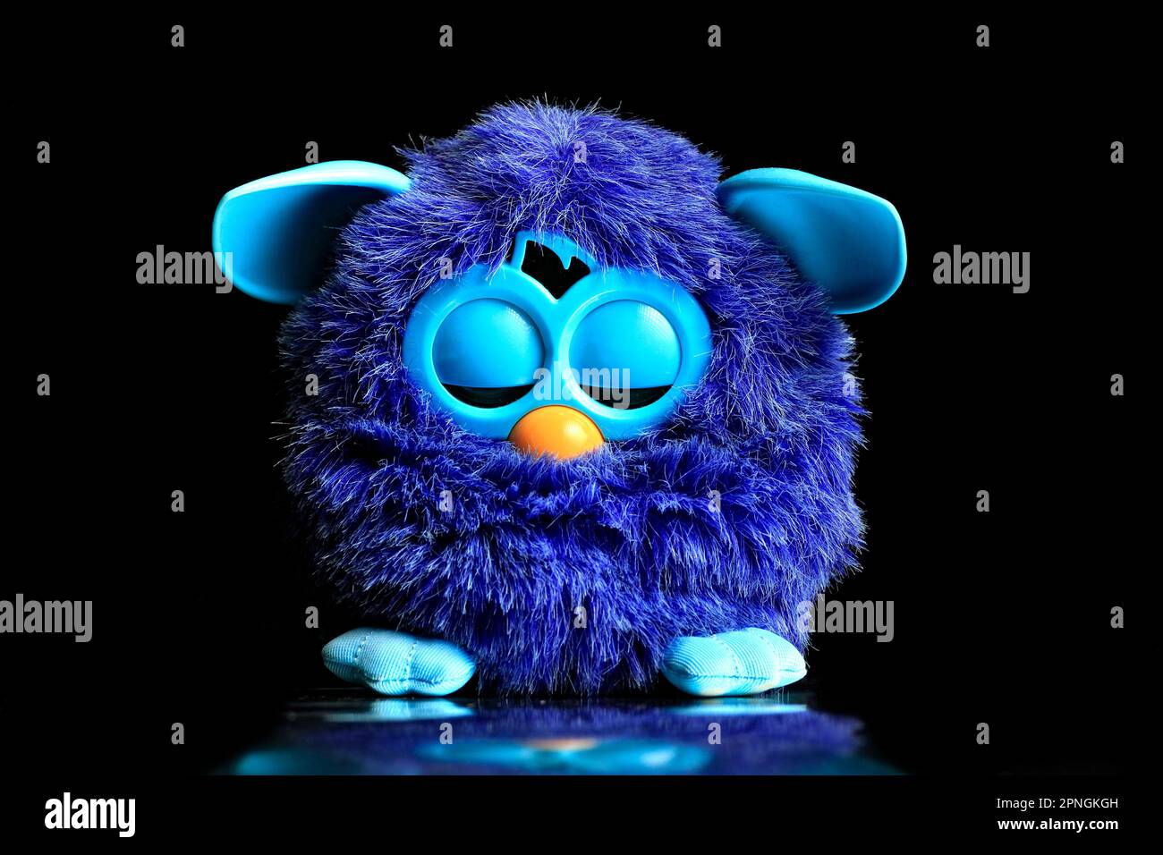 Black Furby 2022