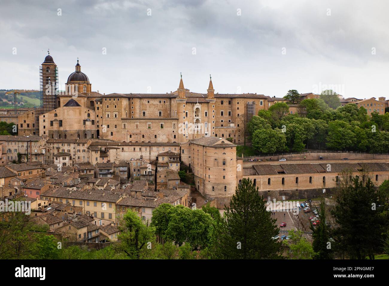 Raphael urbino hi-res stock photography and images - Alamy