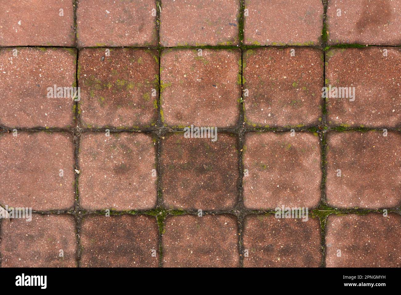 Background in the form of burgundy, red concrete square tiles Stock ...