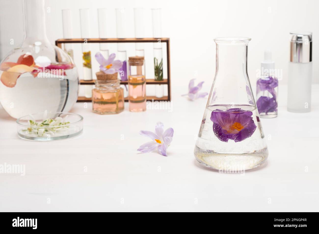 Preparation of perfumes from natural ingredients, aromatherapy. Fresh ...