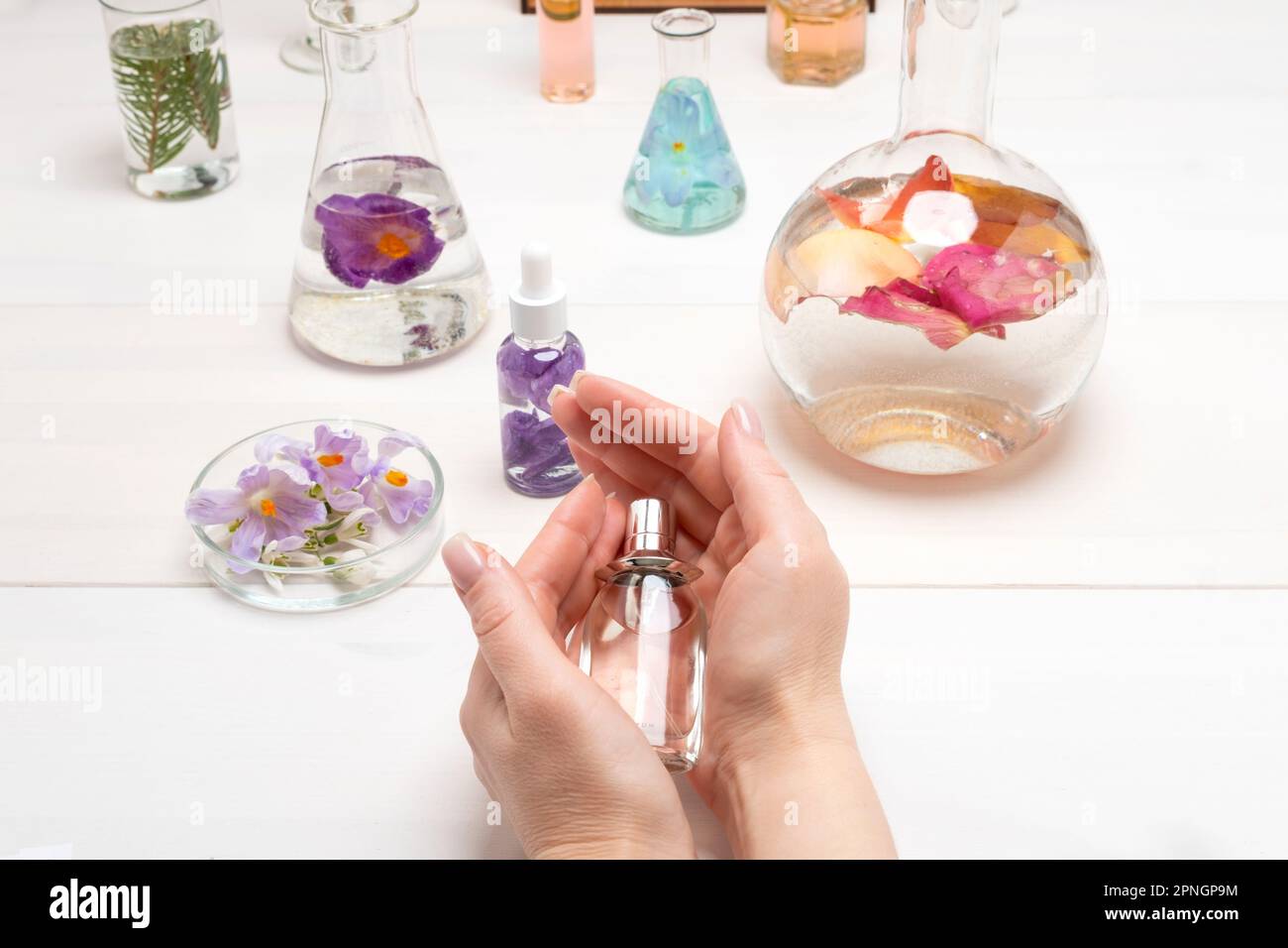Preparation of perfumes from natural ingredients, aromatherapy. Fresh ...