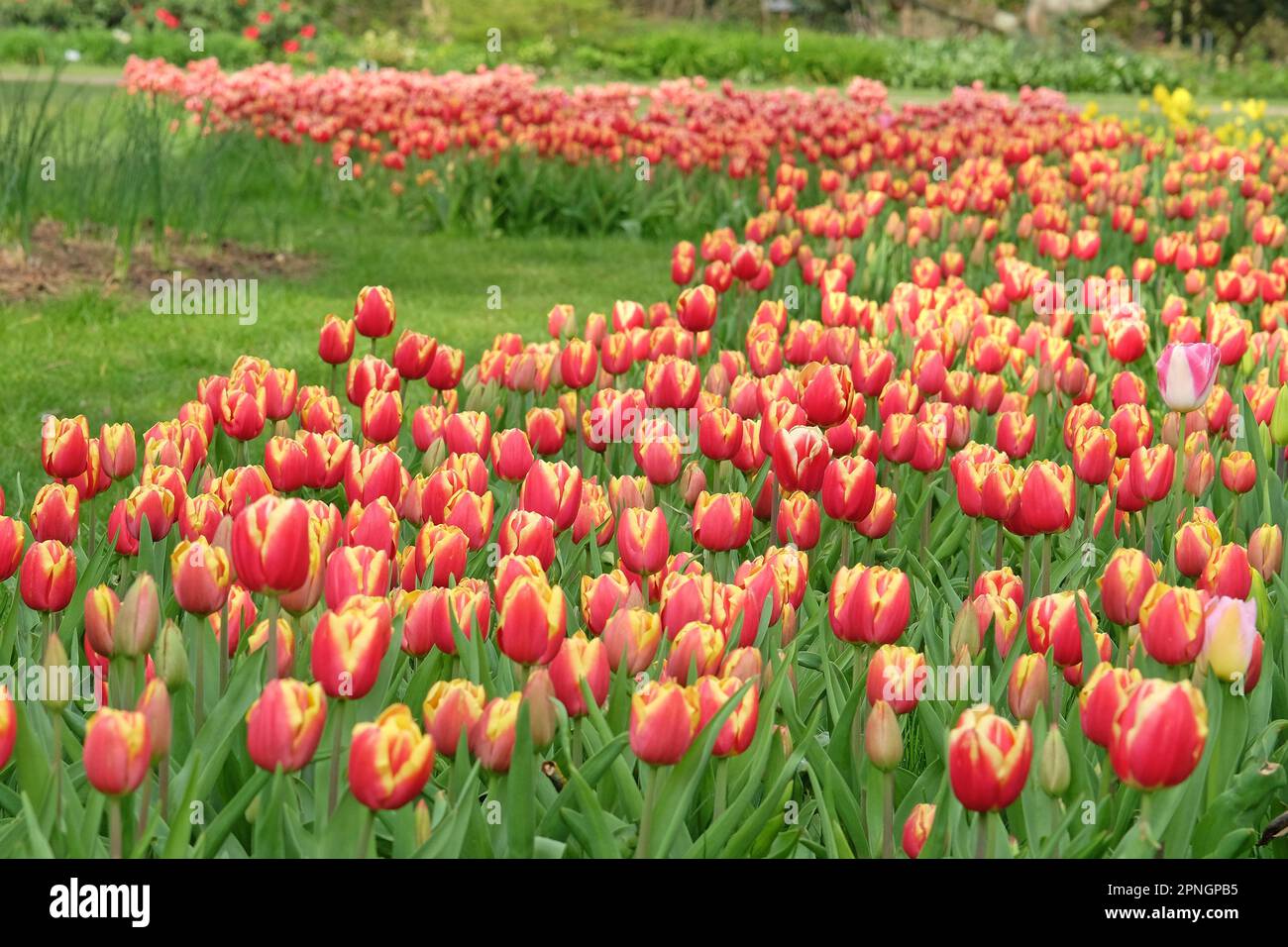 Leen hi-res stock photography and images - Alamy