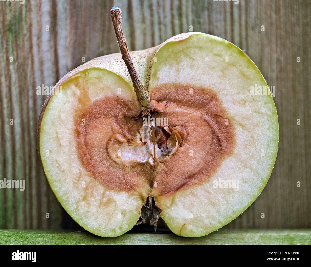 Apple half rotten hi-res stock photography and images - Alamy