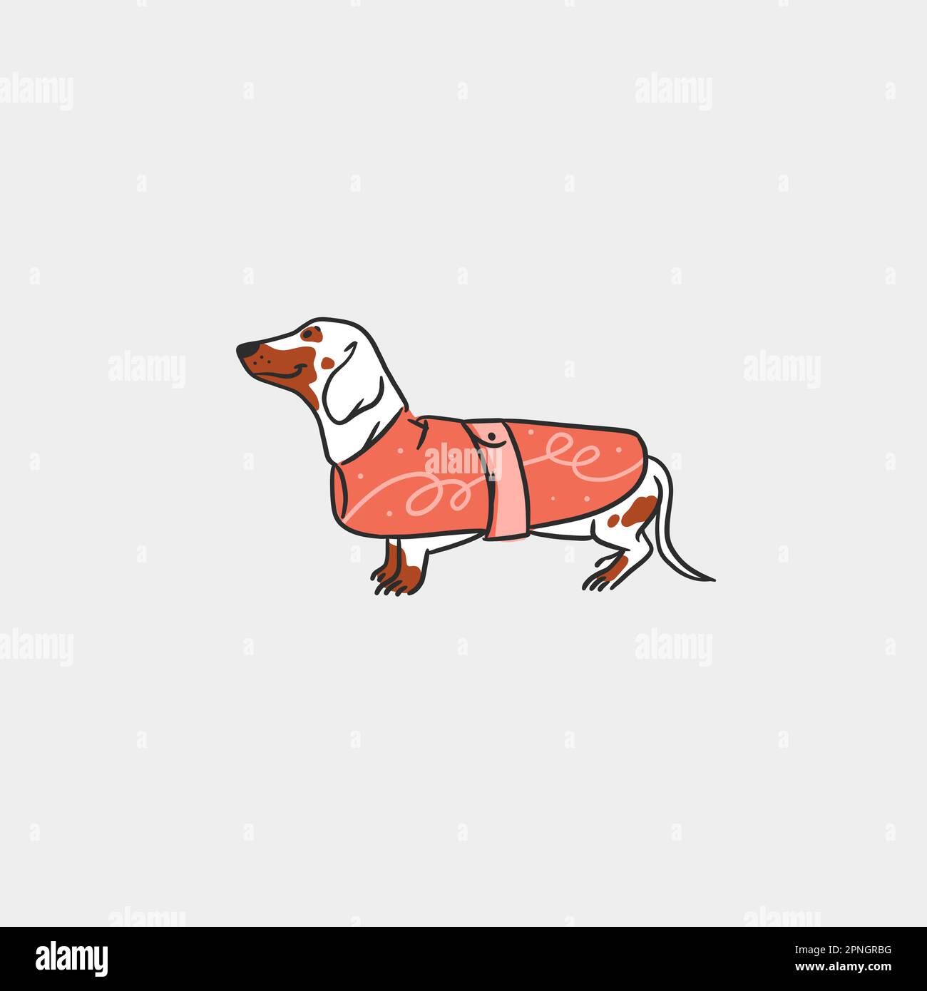Hand drawn vector abstract graphic line art collection with diverse ...