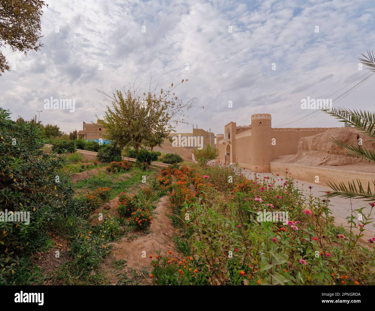 A scenic desert path lined with trees leading to the Narin Castle in ...