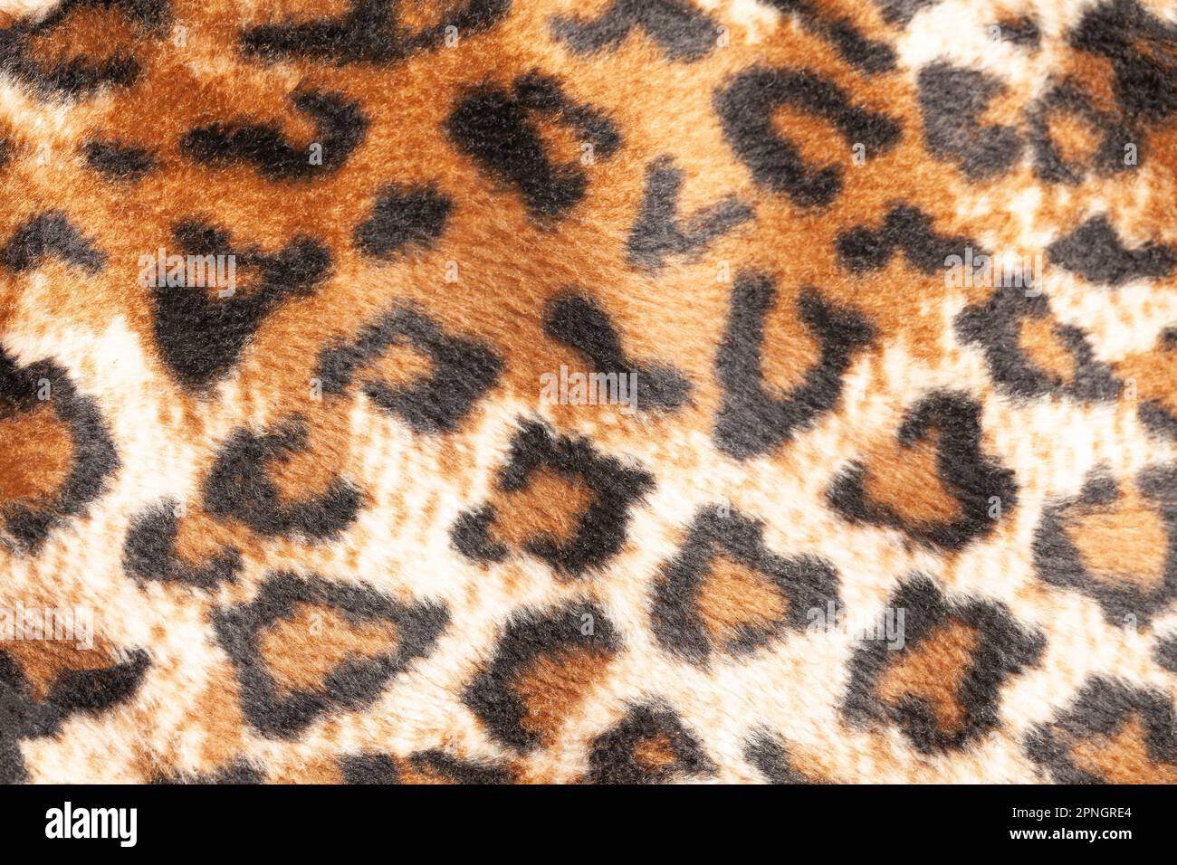 Leopard skin texture for background Stock Photo - Alamy