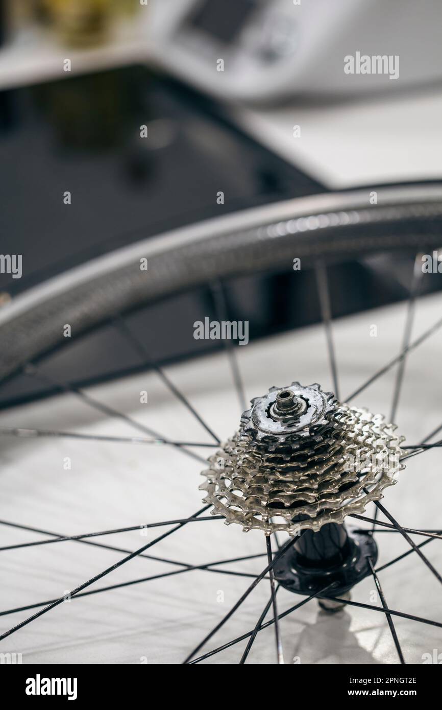 Speed gear crowned tooth bicycle rear wheel detail with rims and spokes ...