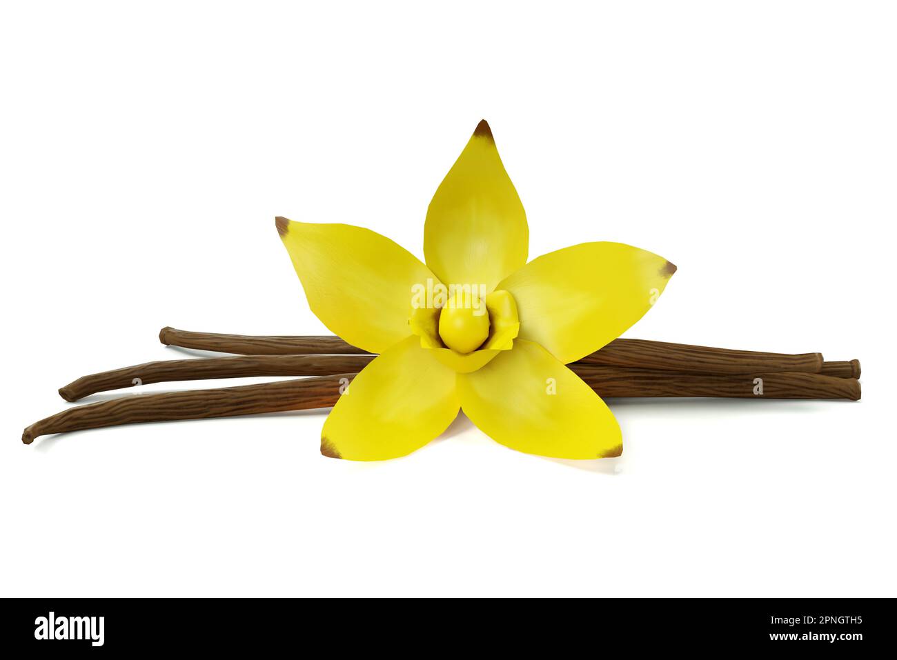 3D rendering - High resolution image Vanilla flower isolated on white ...