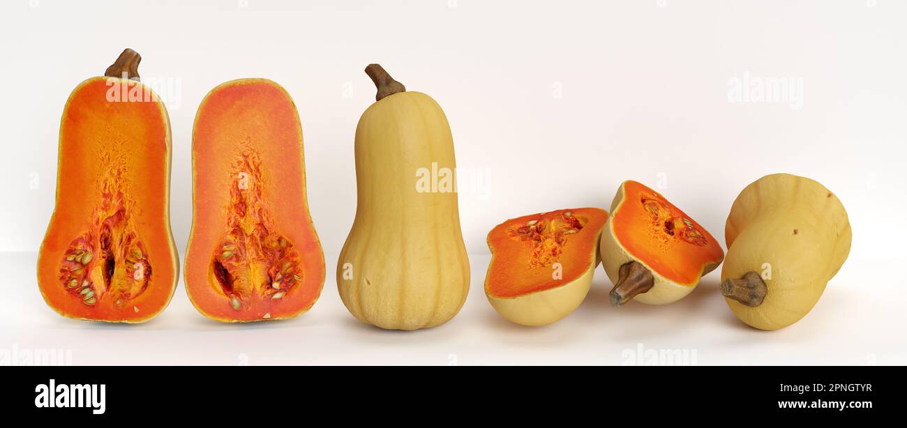 3d rendering - Oblong Pumpkin from different angles isolated on white ...