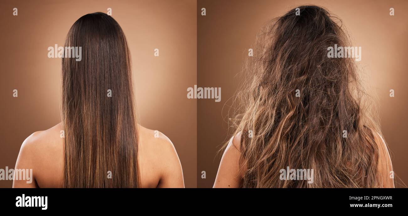 Hair care, beauty and back of woman in studio with shiny, clean and ...