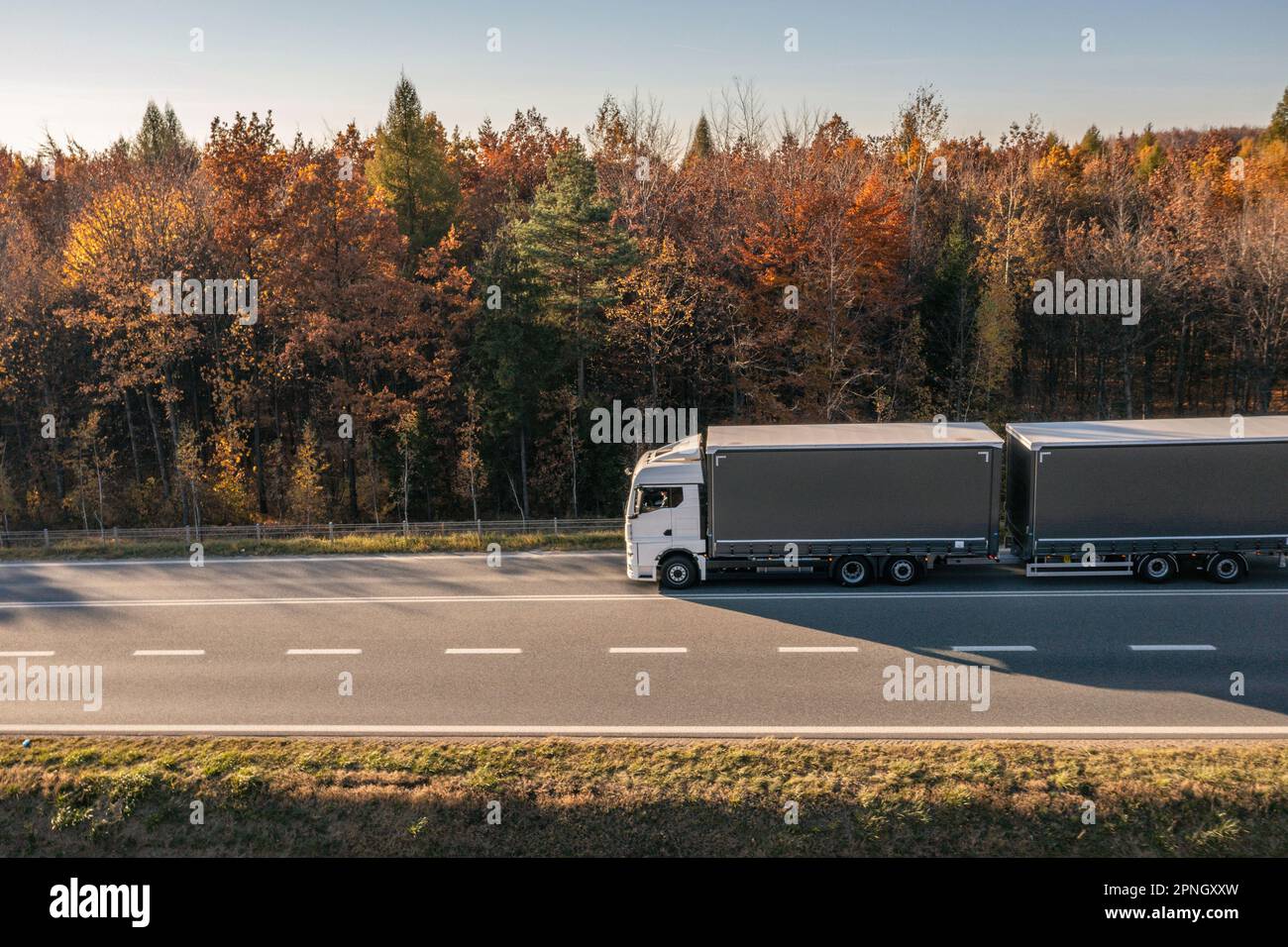 Truck is driving through the forest in autumn. Truck with semi-trailer ...
