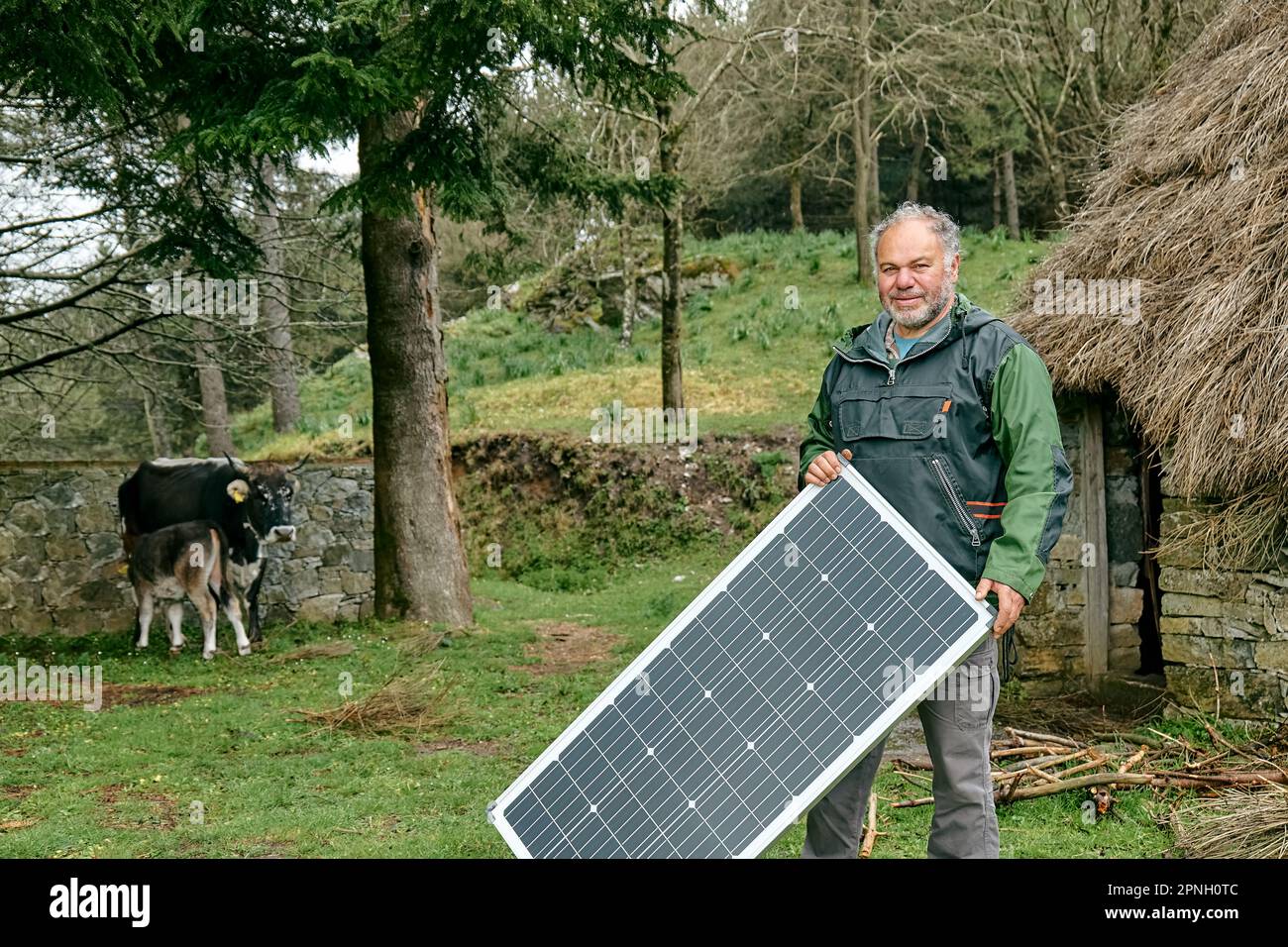 Middle aged bearded man holding solar panel near a farm hut and cows in ...