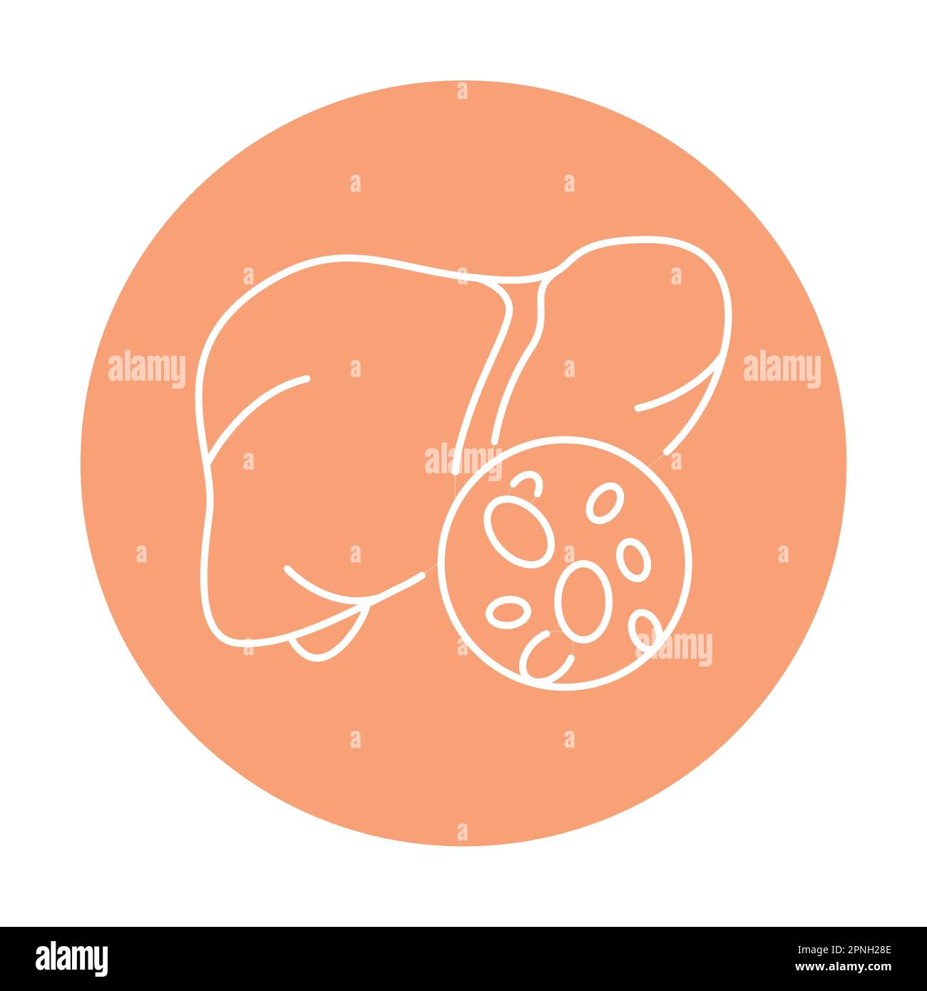 Fatty liver dystrophy color line icon. Human diseases. Pictogram for ...